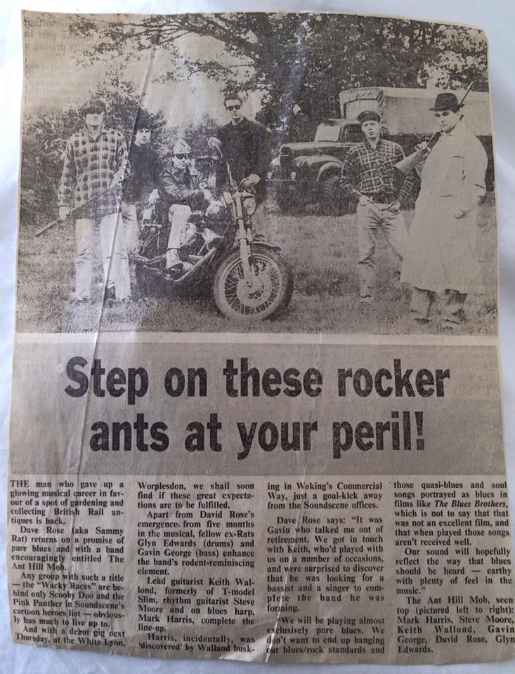 The Ant Hill Mob – Our Soundscene