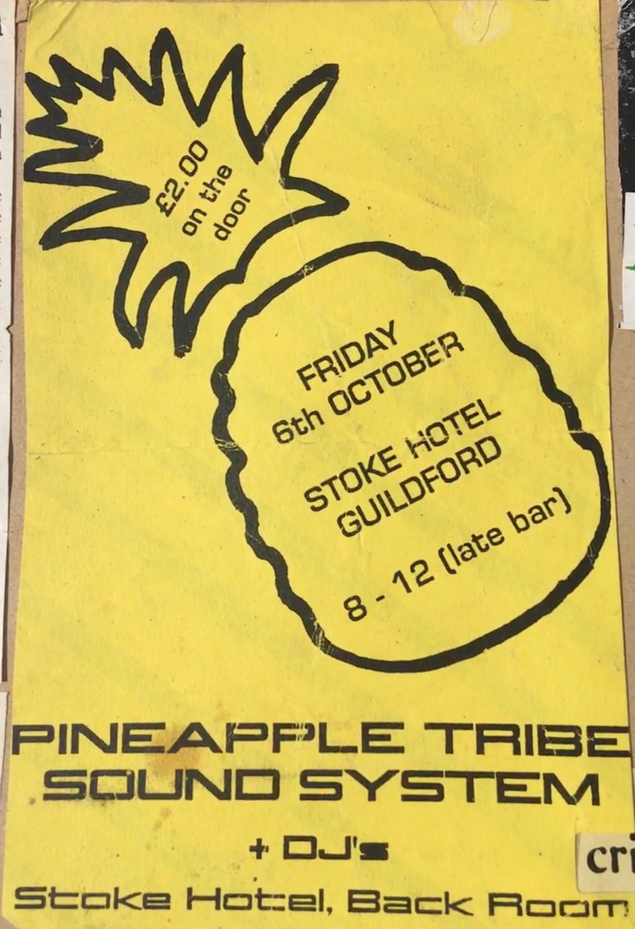 Pineapple Tribe – Our Soundscene